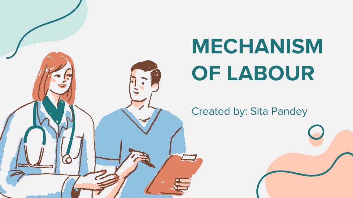 Mechanism of labour - SITA PANDEY