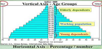 Vital Health Statistics - SITA PANDEY