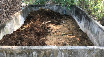 Solid waste management - SITA PANDEY