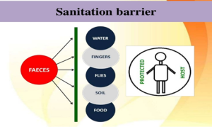 Excreta disposal - SITA PANDEY